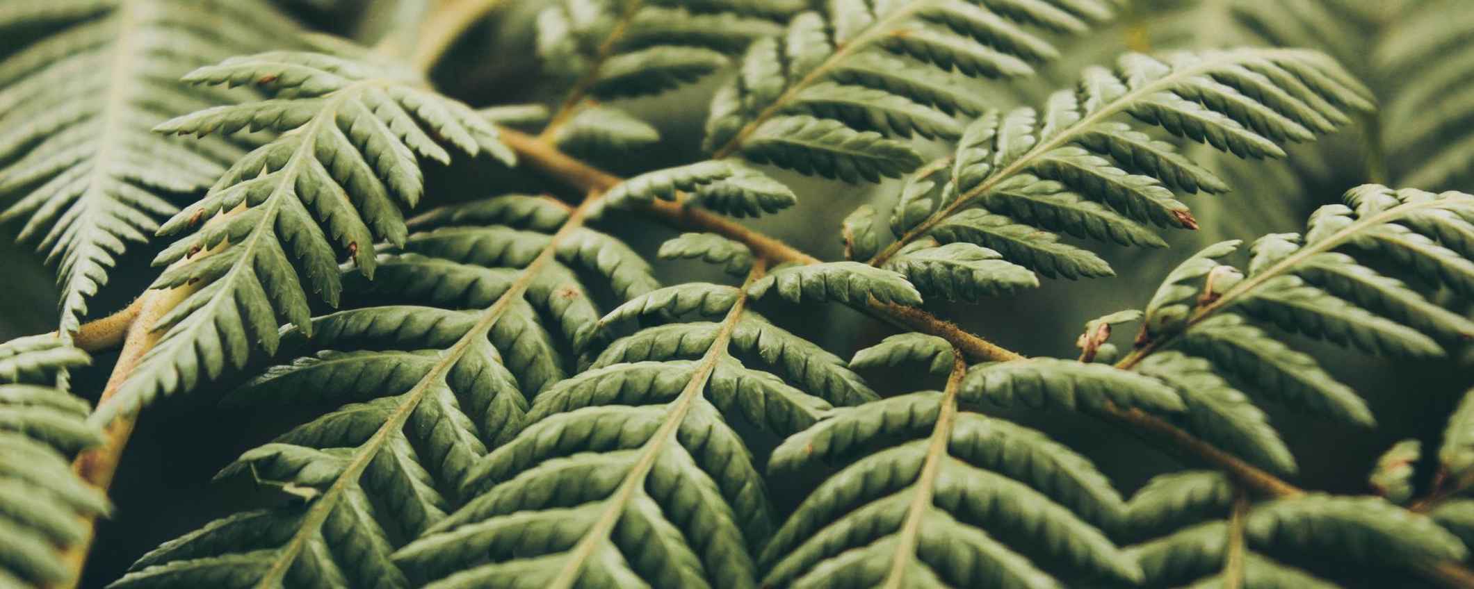 Meeting Depository Receipt holders of SAAT votes for ‘one share one ...